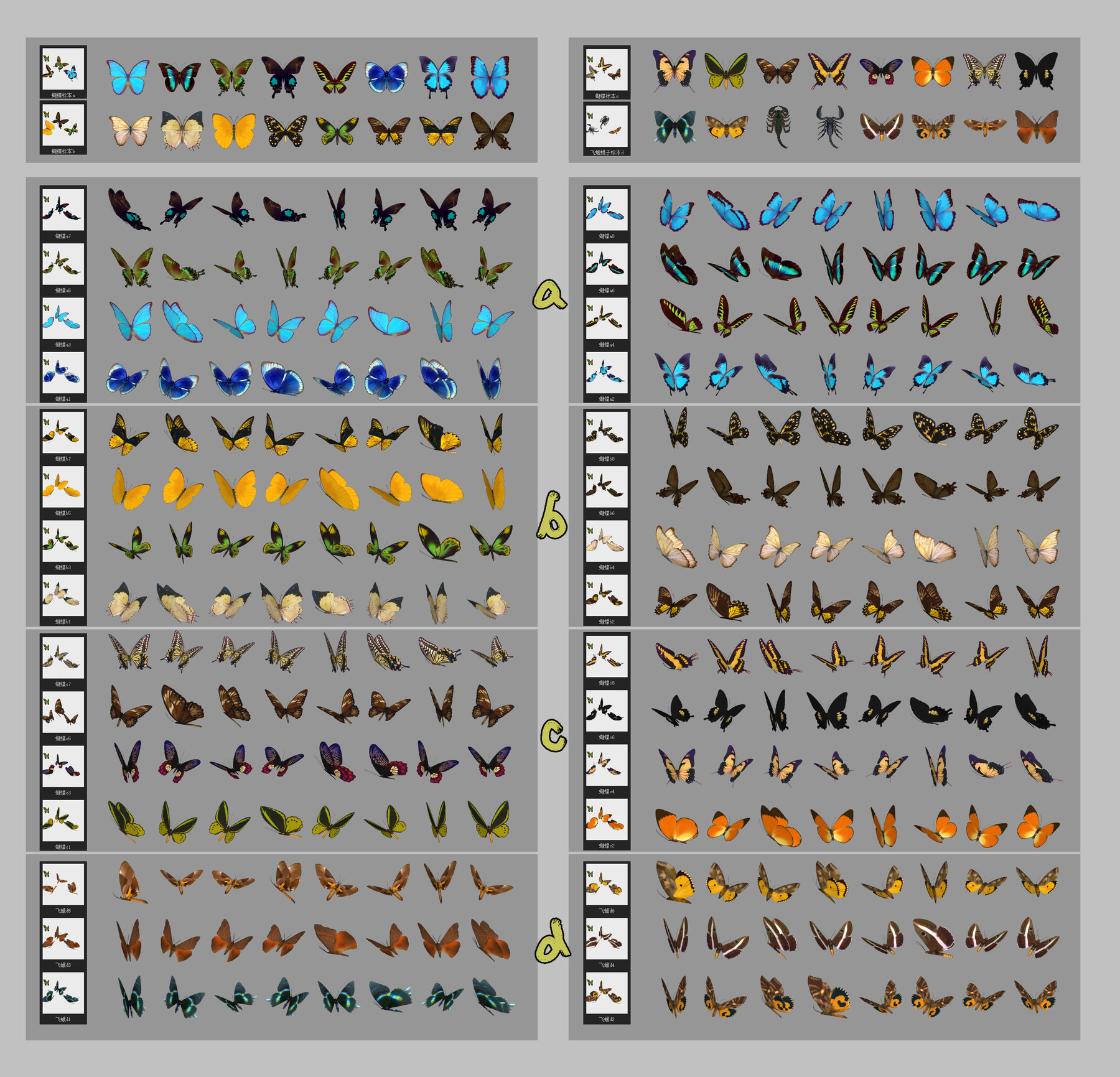 ArtStation - Butterfly & Moth & Scorpion Insect Specimen Collection (35 ...