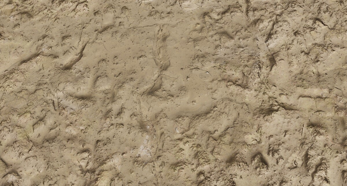 ArtStation - Wet Sand PBR Texture | Game Assets