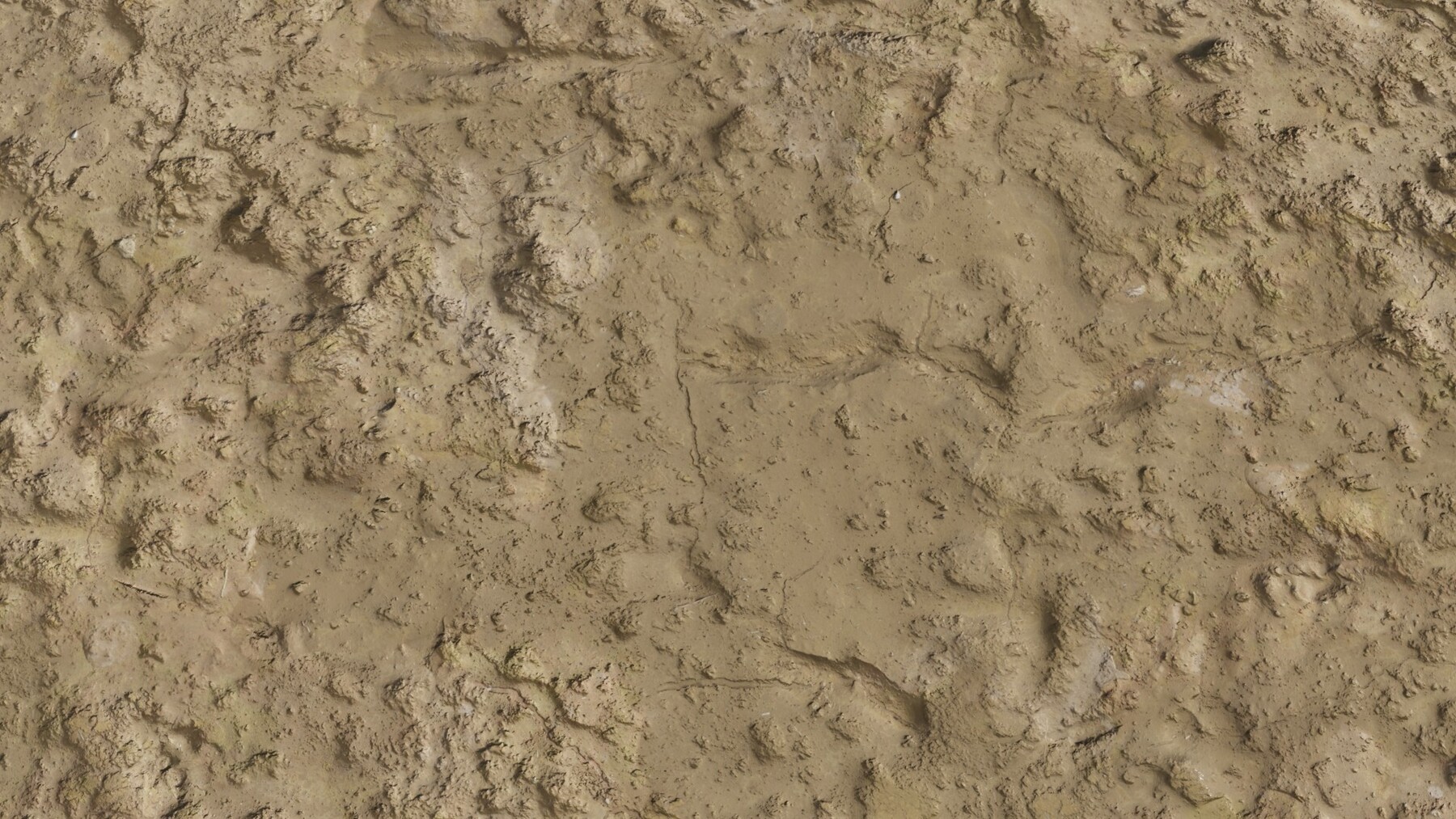 ArtStation - Wet Sand PBR Texture | Game Assets