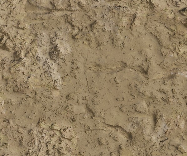 ArtStation - Wet Sand PBR Texture | Game Assets