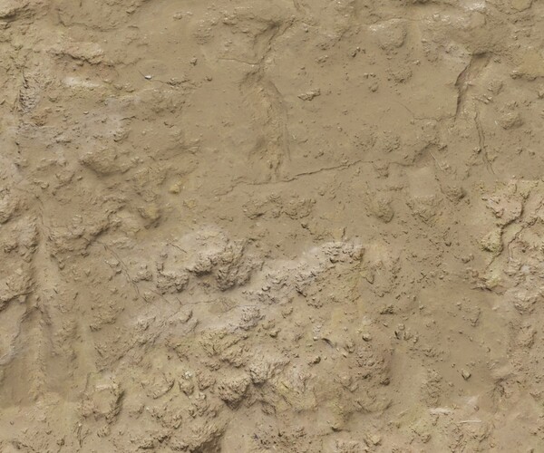 ArtStation - Wet Sand PBR Texture | Game Assets