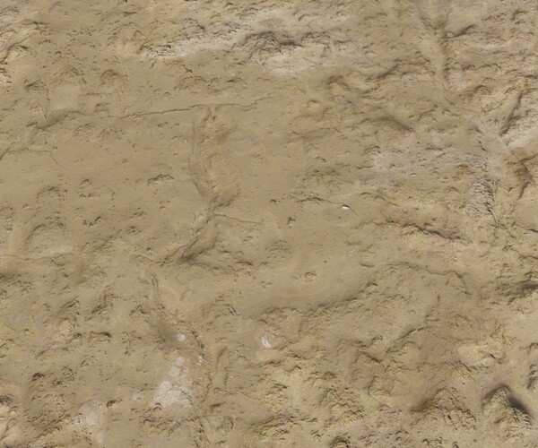 ArtStation - Wet Sand PBR Texture | Game Assets
