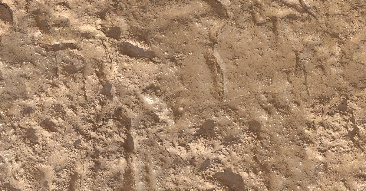 ArtStation - Wet Sand PBR Texture | Game Assets