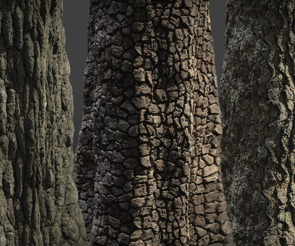 ArtStation - 11 High Detail Bark Material (SBSAR, 4K PBR Texture) + SBS ...