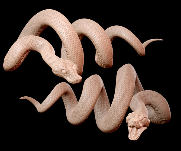 ArtStation - IMM Brush Snake V5 for Zbrush | Brushes