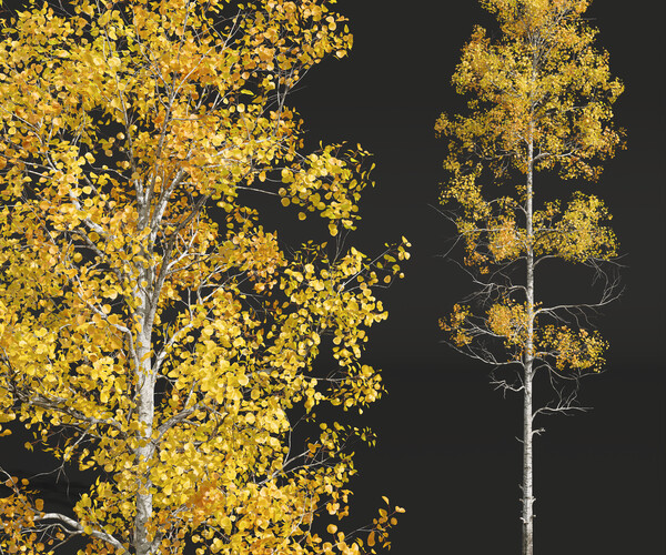 ArtStation - New Plant Populus Tremuloides 2Tree | Resources