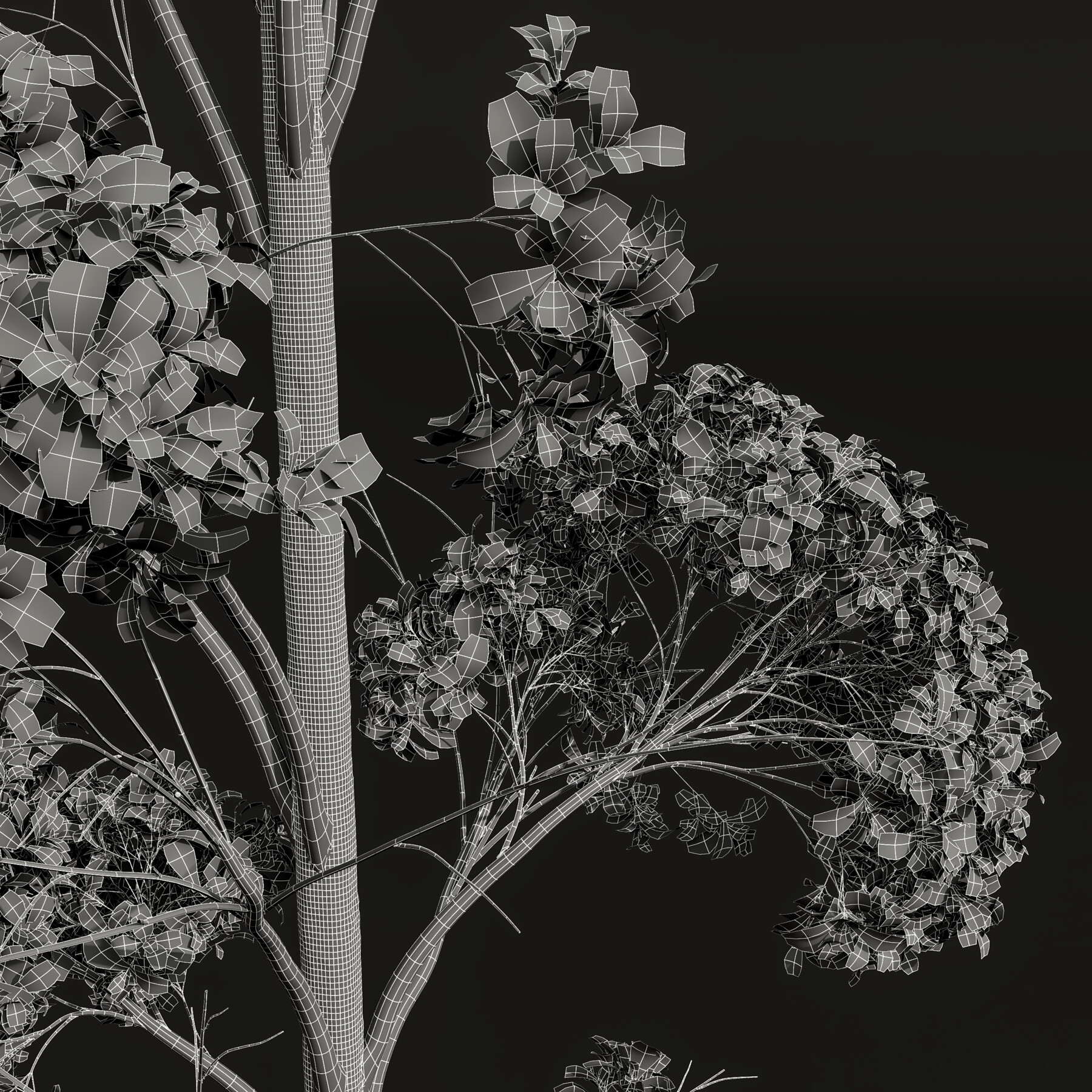 ArtStation - New Plant Populus Tremuloides 2Tree | Resources