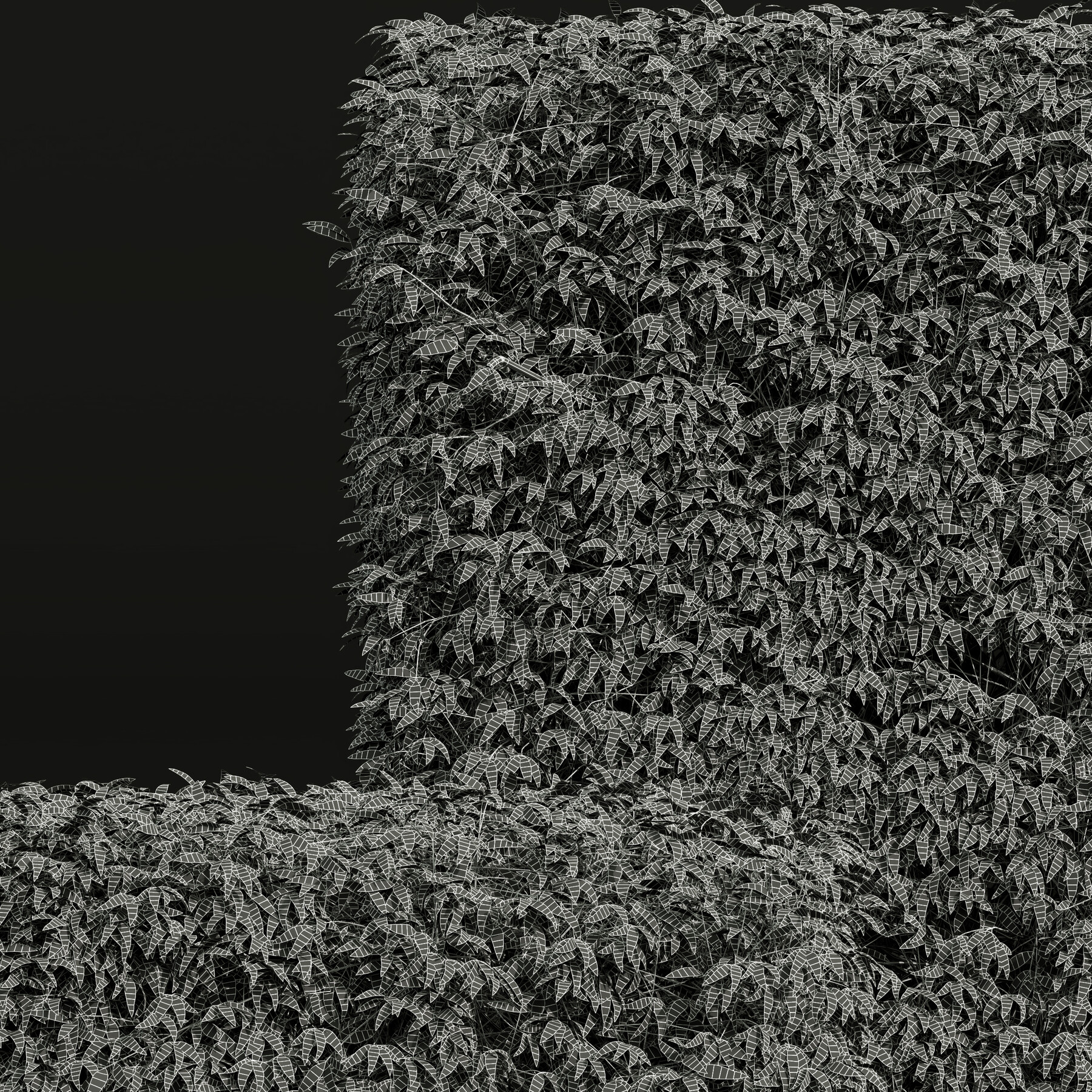 ArtStation - New Plant Pyrrosia Lingua Hedge Sphere Box Hedge | Resources
