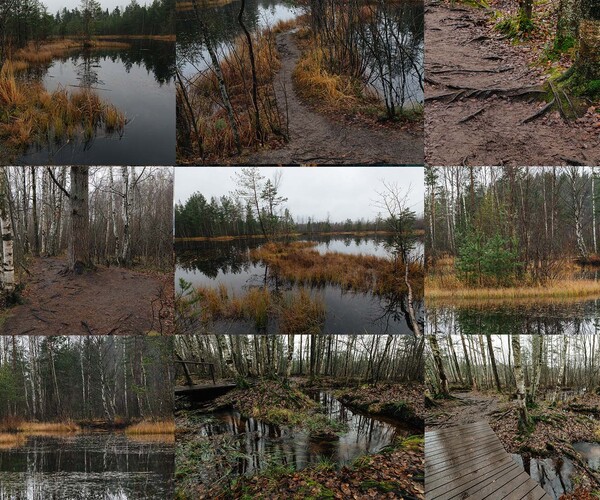 ArtStation - 590+ Swamp Forest Vegetation Reference Pictures | Resources