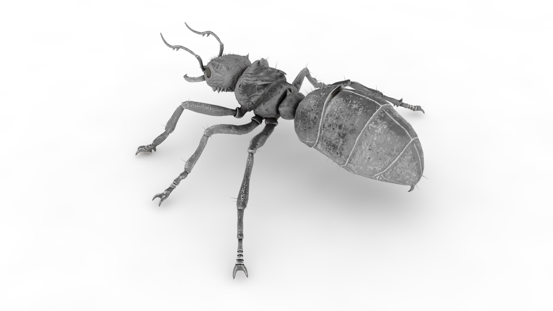 ArtStation - Ant | Game Assets