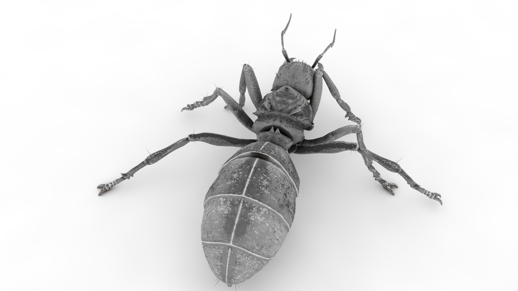 ArtStation - Ant | Game Assets