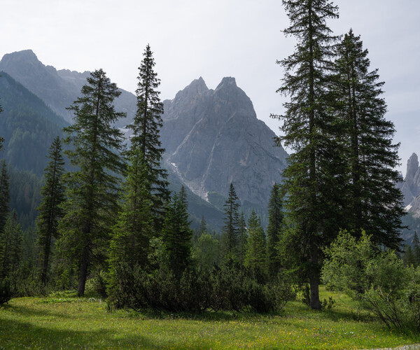 ArtStation - Fiscalina Valley - Reference Pack | Resources