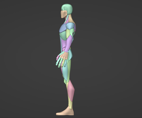 ArtStation - Stylized Male Anatomy Blockout V2 | Resources