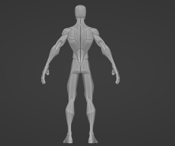 ArtStation - Stylized Male Anatomy Blockout V2 | Resources