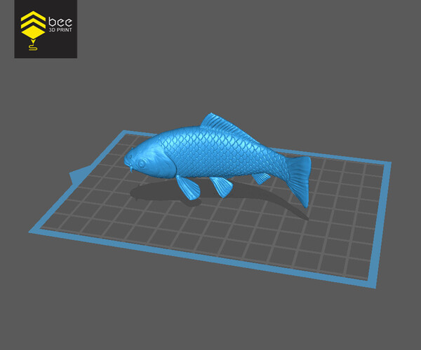 ArtStation - Koi Fish - STL file - 3D print model | Resources
