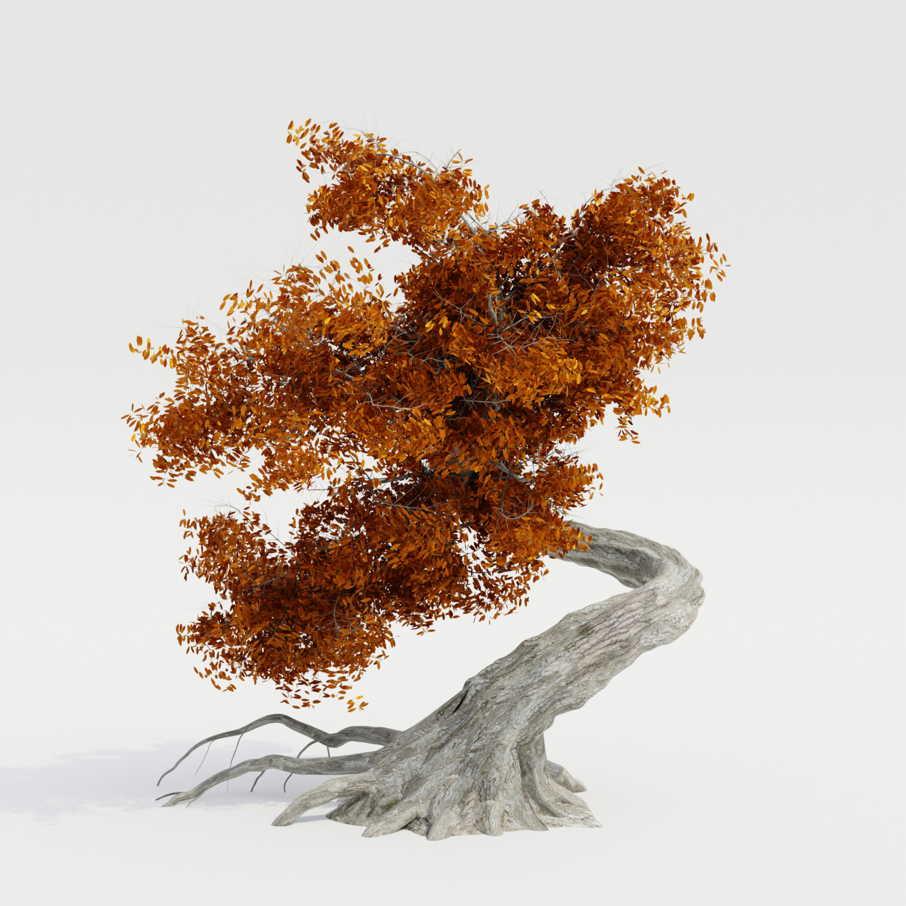 ArtStation - Stylized Tree Blender 3.x | Resources