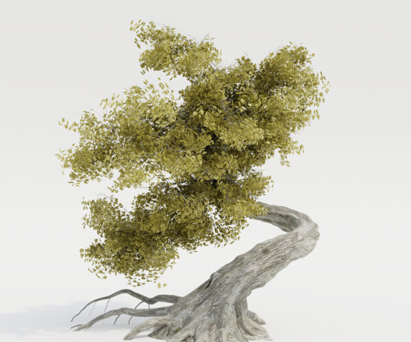 ArtStation - Stylized Tree Blender 3.x | Resources