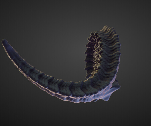 ArtStation - HORN6 high poly sculpt | Resources