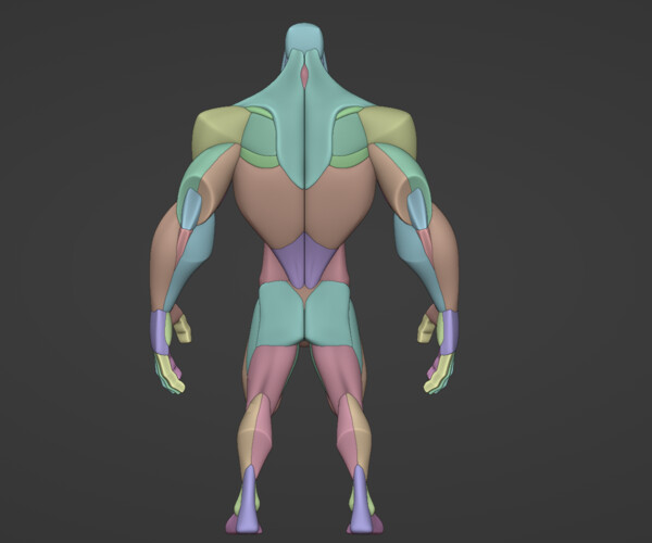 ArtStation - Stylized Big Guy Anatomy Blockout | Resources
