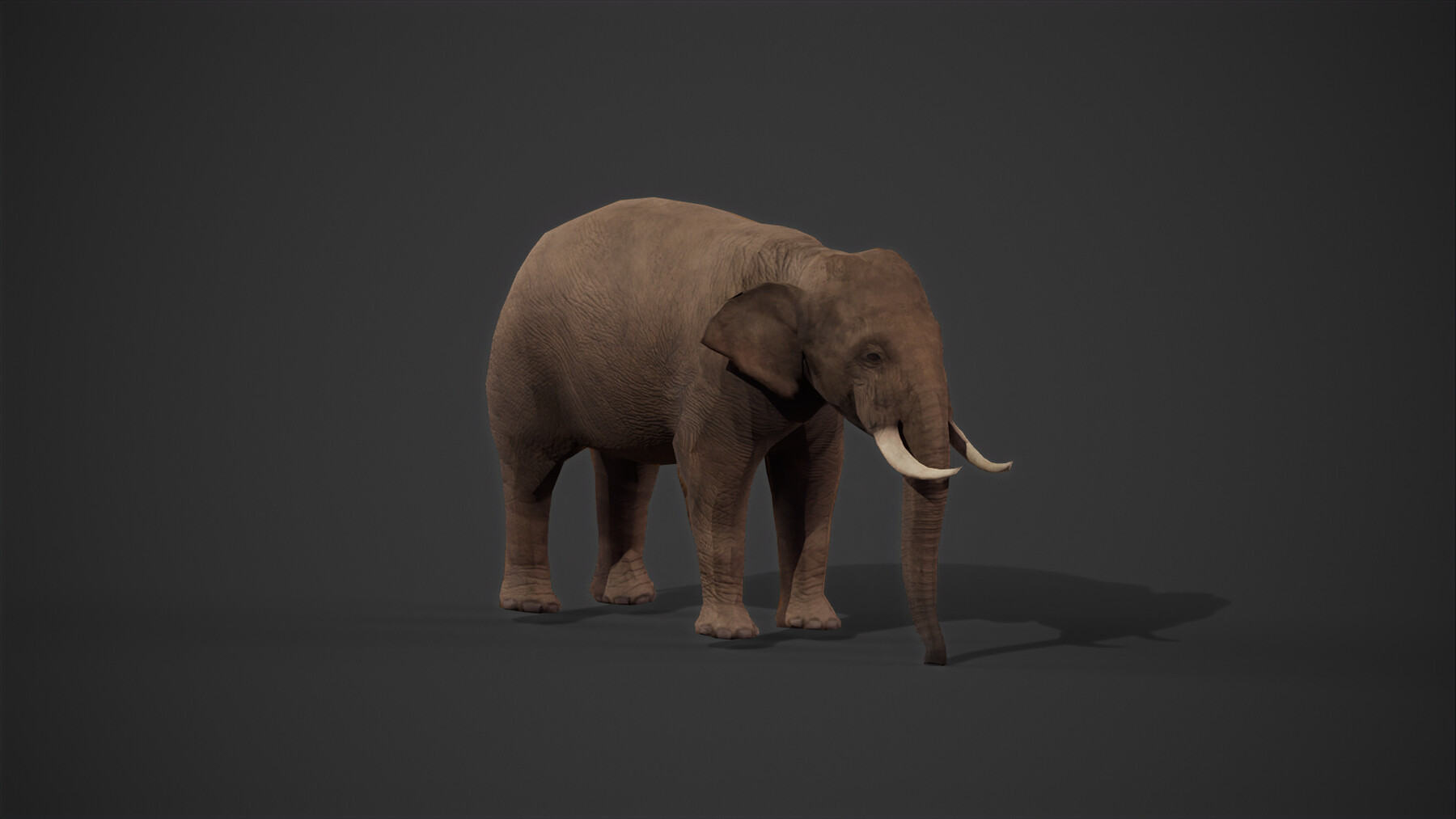 ArtStation - African Elephant | Game Assets