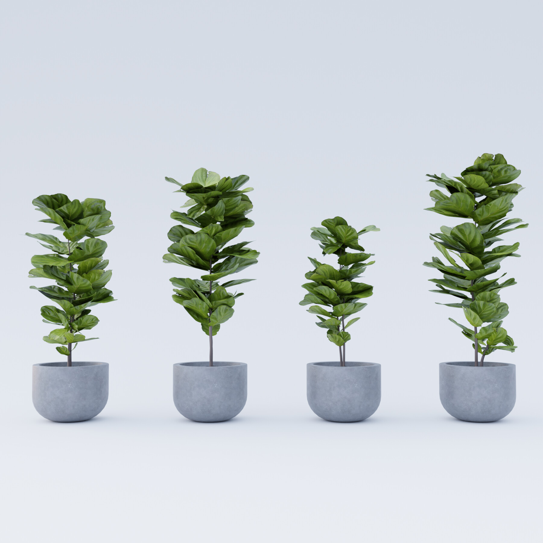 ArtStation - Fiddle Leaf Fig | Game Assets