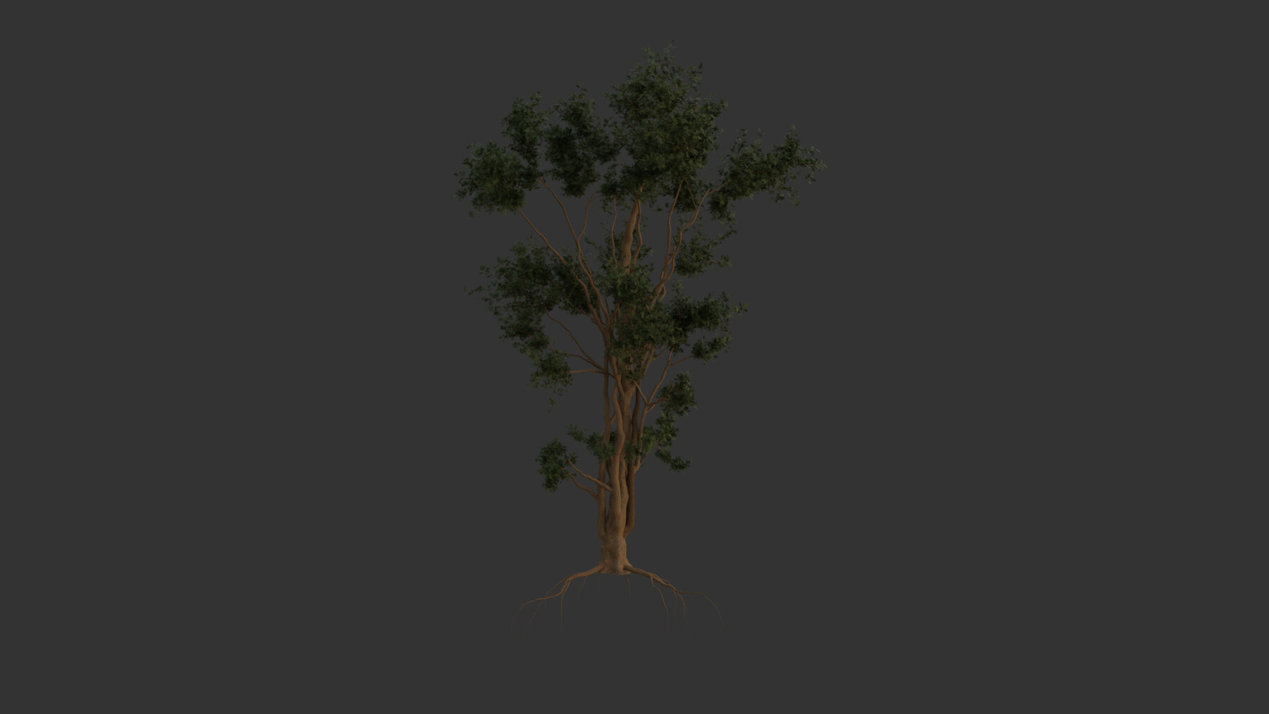 ArtStation - 3D Rimu Tree pack | Resources