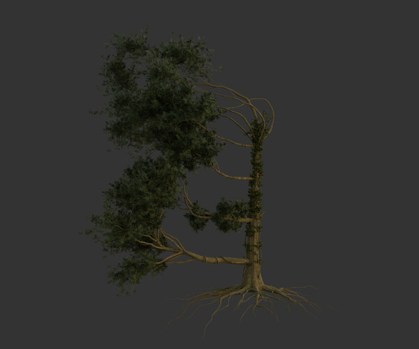 ArtStation - 3D Rimu Tree pack | Resources
