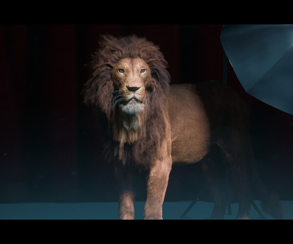 ArtStation - Lion Photorealistic Rigged 3d Blender 4K model | Game Assets