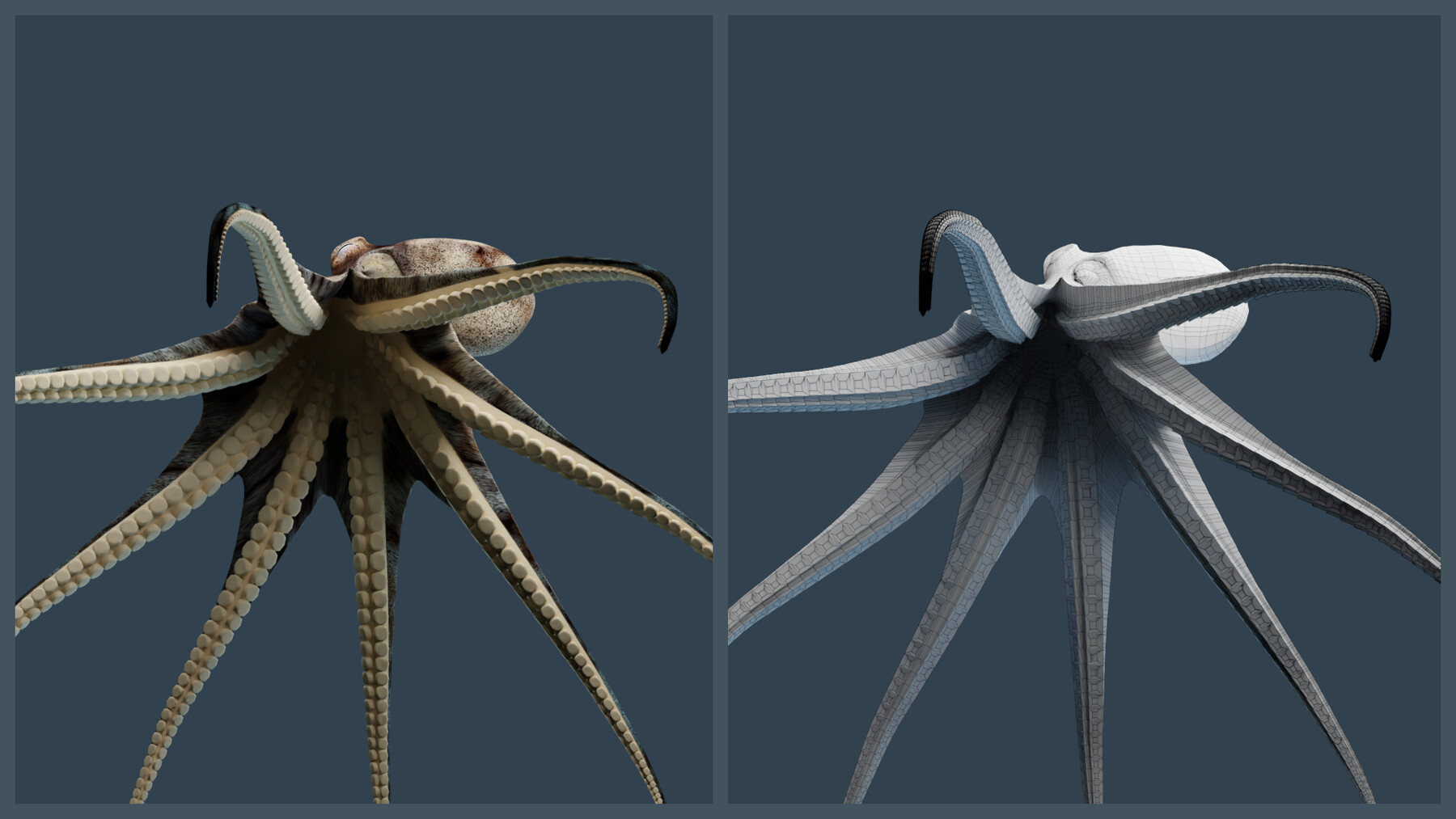 ArtStation - Animated Octopus- Caribbean Reef | Game Assets