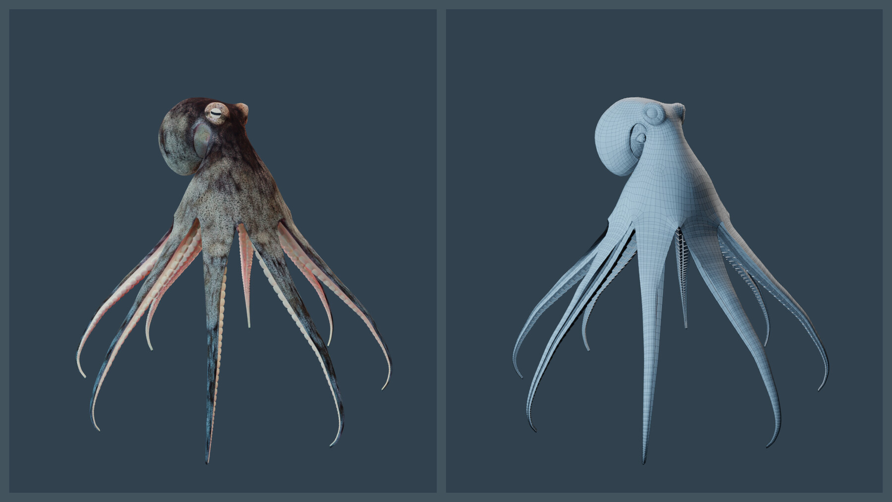 ArtStation - Animated Octopus- Caribbean Reef | Game Assets