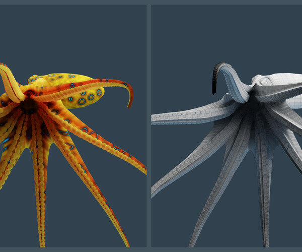 ArtStation - Animated Octopus- Blue-Ringed | Game Assets