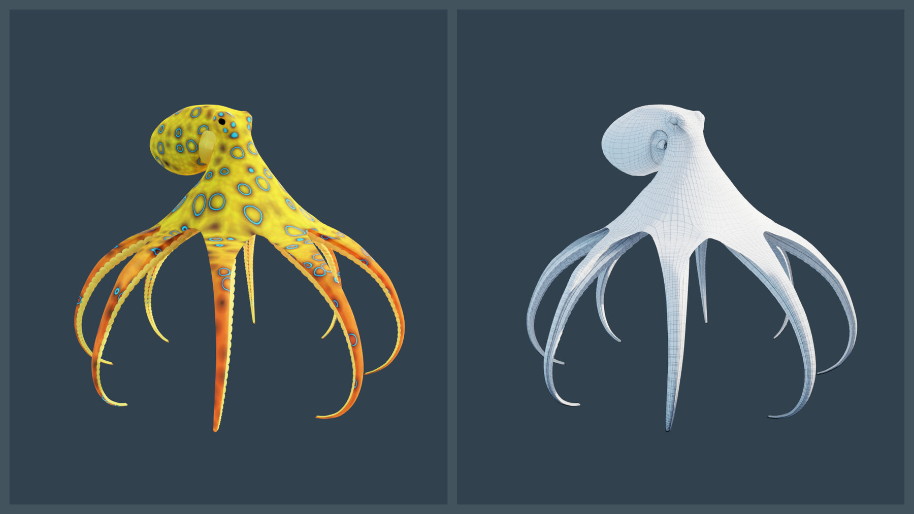 ArtStation - Animated Octopus- Blue-Ringed | Game Assets