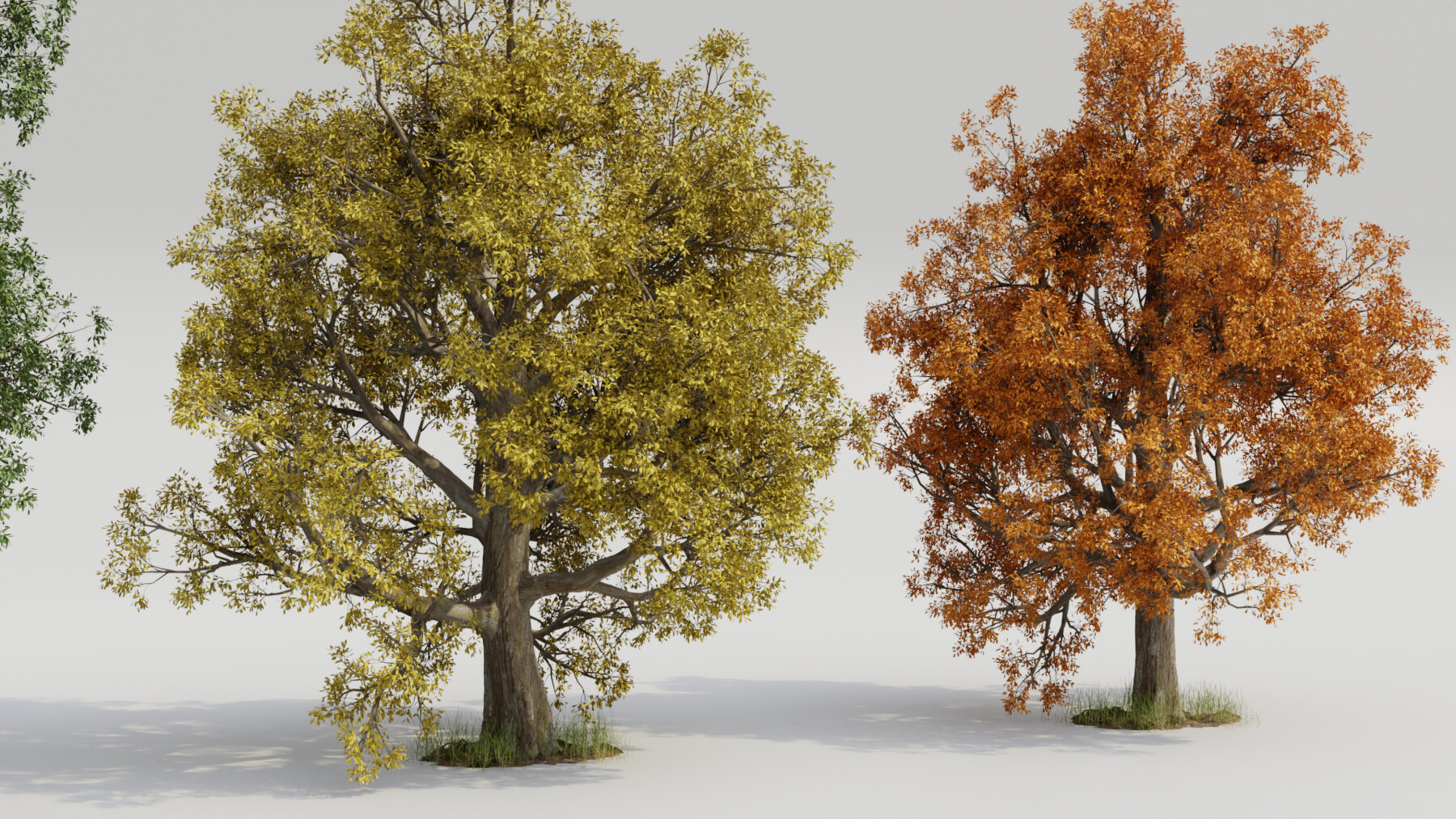 ArtStation - tree pack 3 Blender 3.x | Resources