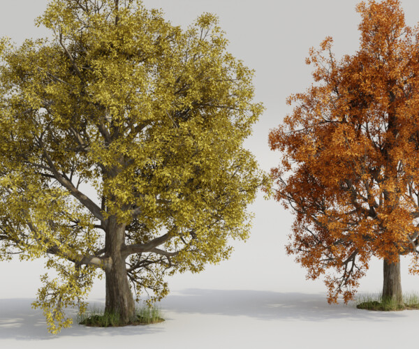 ArtStation - tree pack 3 Blender 3.x | Resources