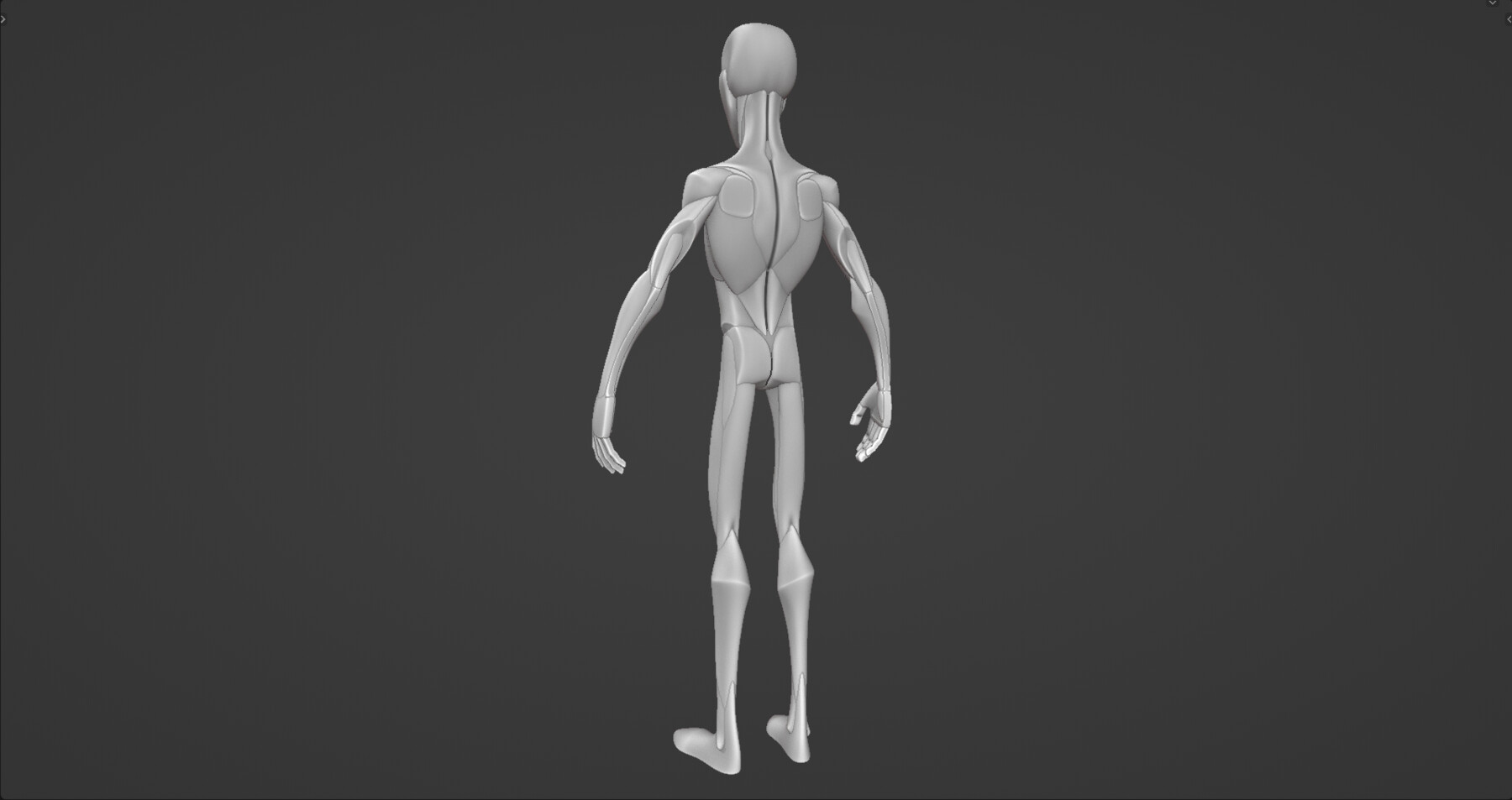 ArtStation - Stylized Thin Man Anatomy Blockout | Resources