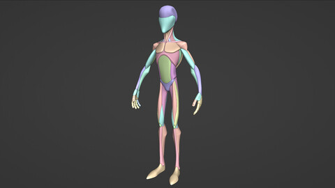 ArtStation - Stylized Female Anatomy Blockout V1 | Resources