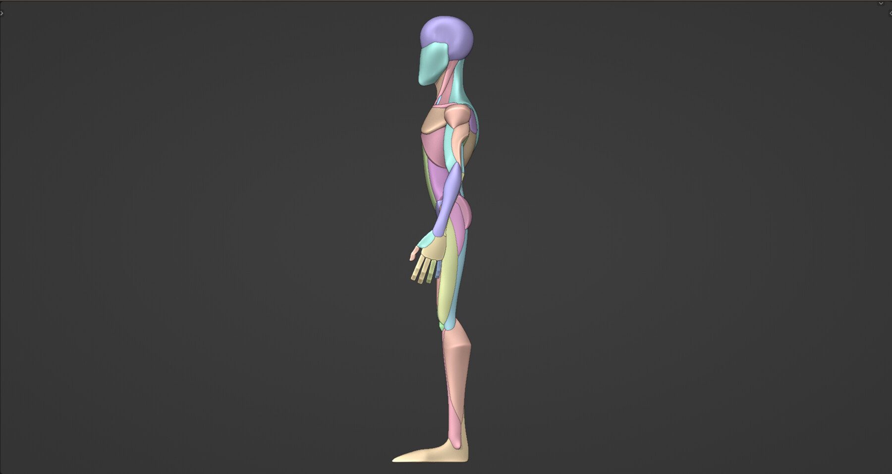 ArtStation - Stylized Thin Man Anatomy Blockout | Resources