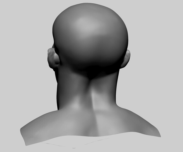 ArtStation - Base Male Head A0 | Resources