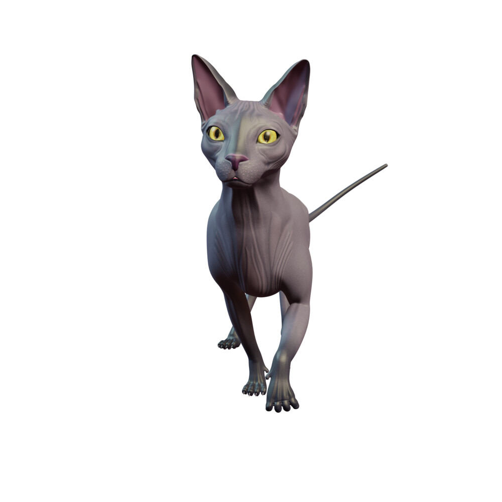 ArtStation - sphynx cat | Game Assets