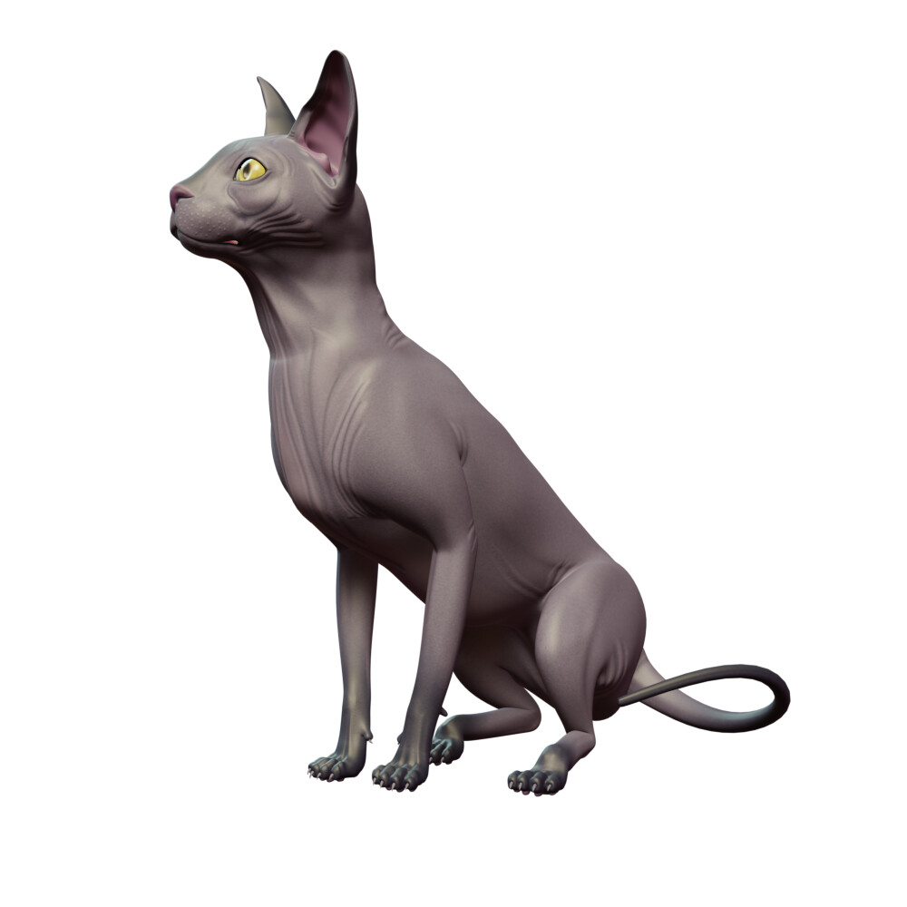 ArtStation - sphynx cat | Game Assets