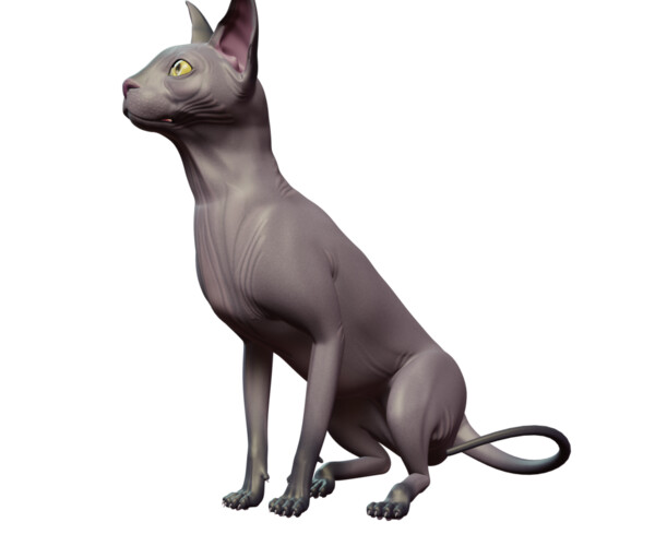 ArtStation - sphynx cat | Game Assets