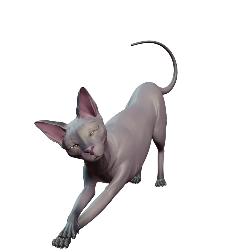 ArtStation - sphynx cat | Game Assets