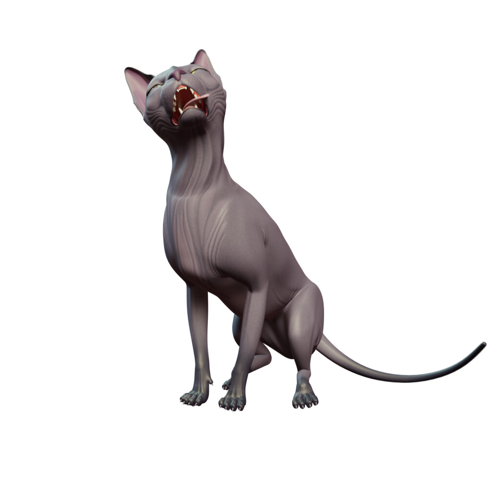 ArtStation - sphynx cat | Game Assets