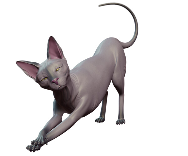 ArtStation - sphynx cat | Game Assets