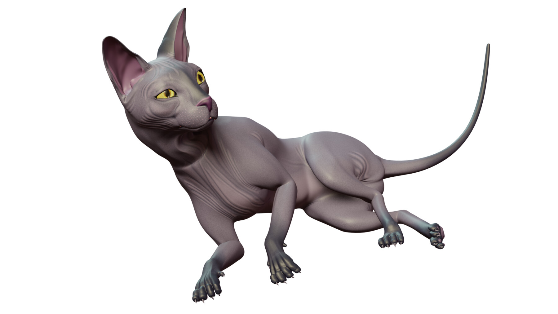 ArtStation - sphynx cat | Game Assets