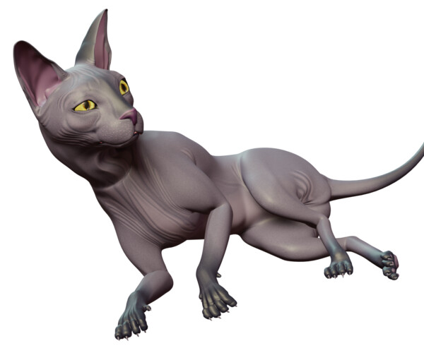 ArtStation - sphynx cat | Game Assets