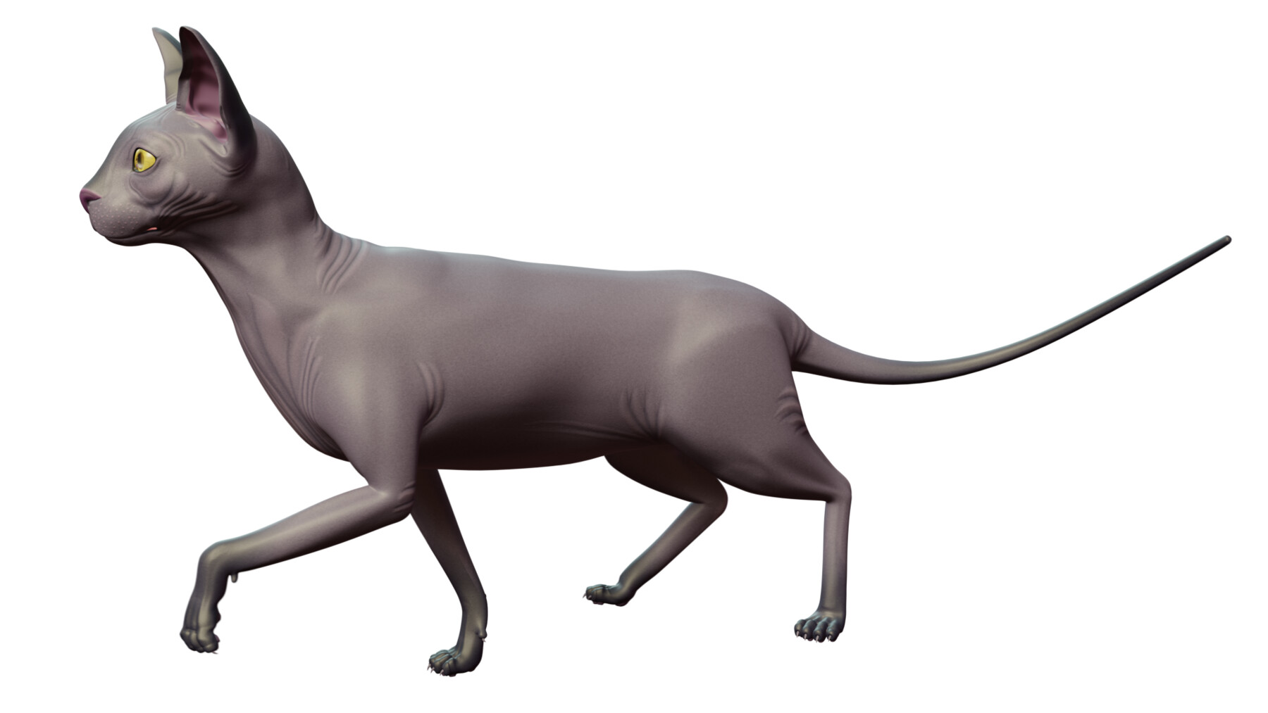 ArtStation - sphynx cat | Game Assets