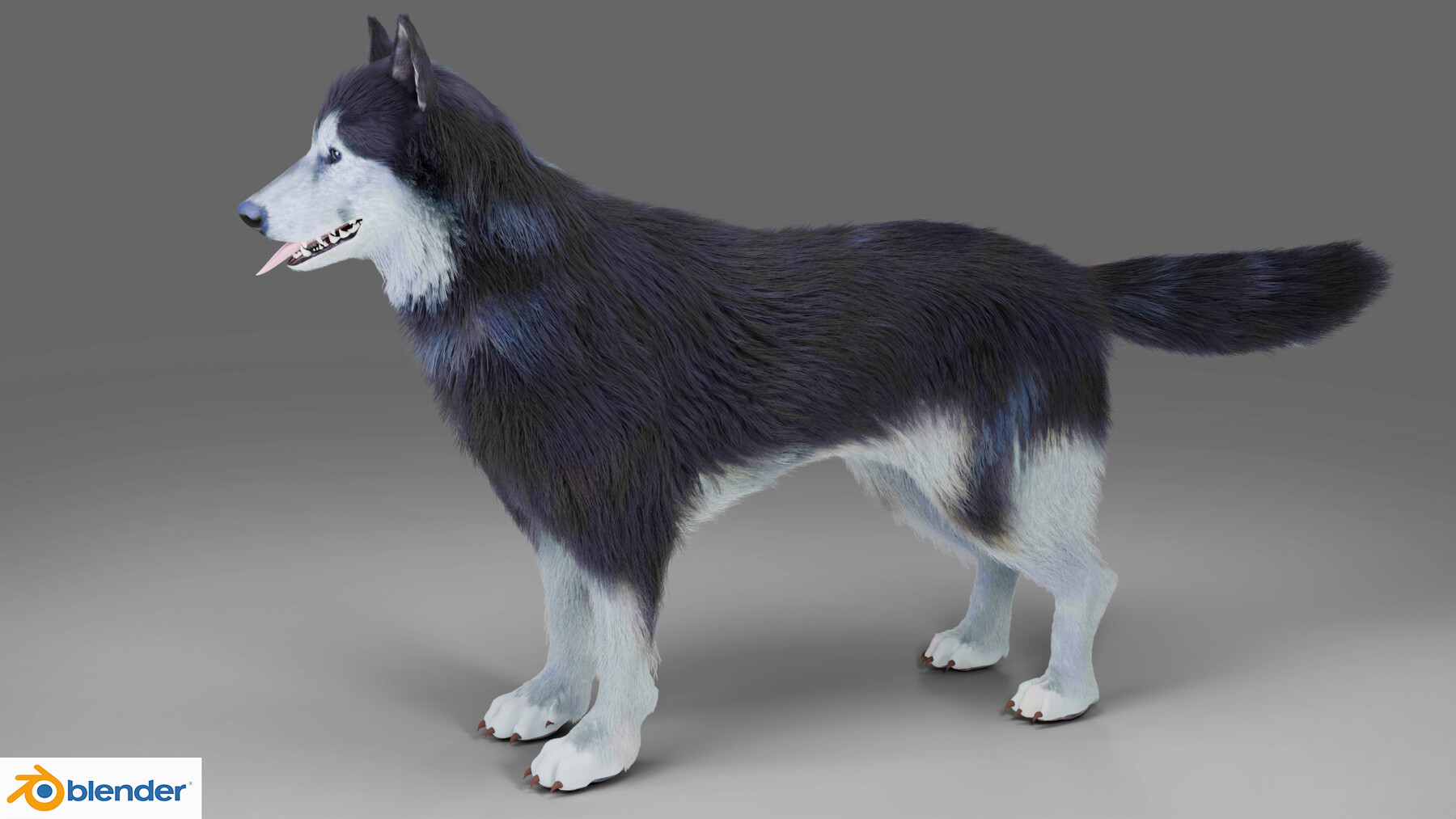 ArtStation - Fur Gray Wolf Rigged and Animated in Blender | Game Assets