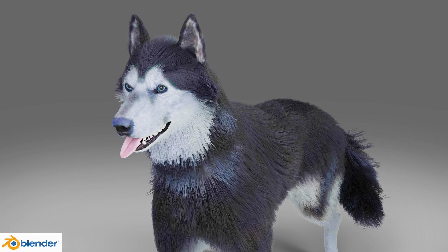 ArtStation - Fur Gray Wolf Rigged and Animated in Blender | Game Assets