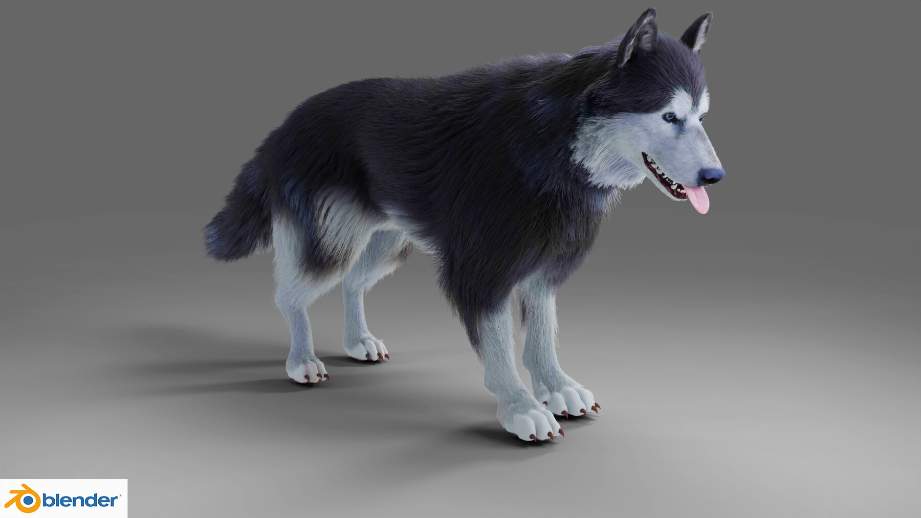 ArtStation - Fur Gray Wolf Rigged and Animated in Blender | Game Assets